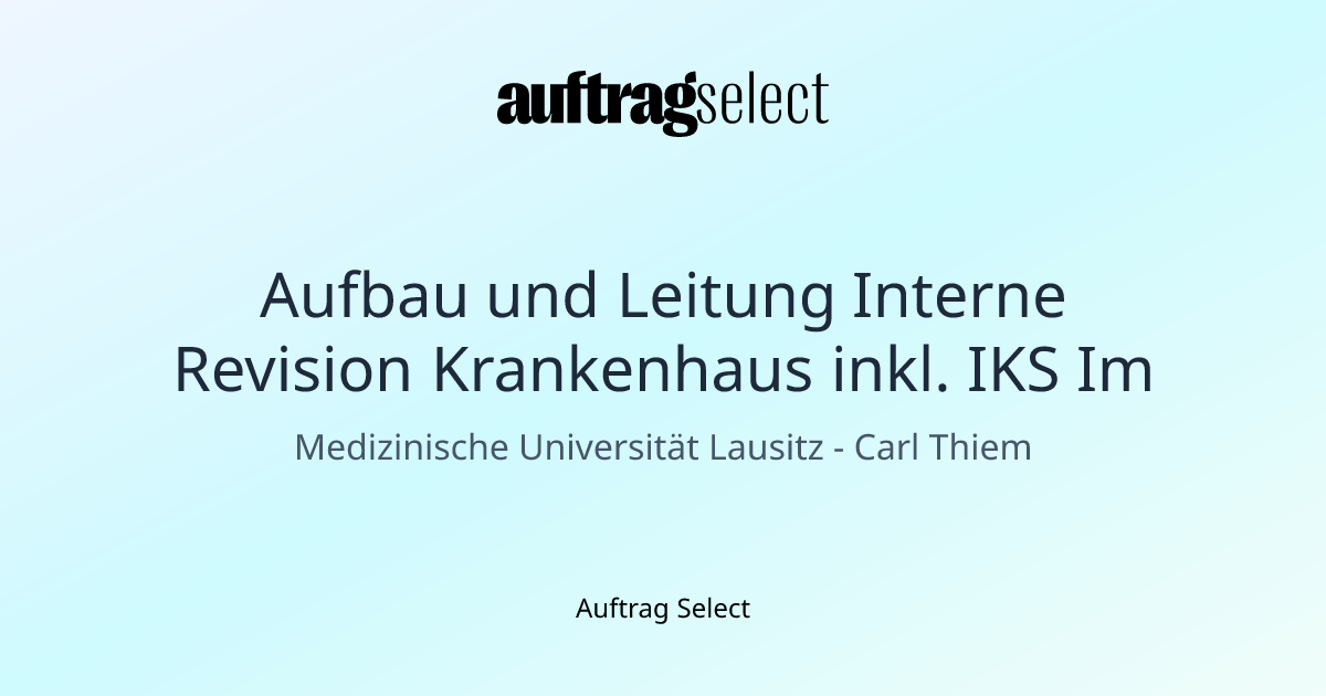 Aufbau und Leitung Interne Revision Krankenhaus inkl. IKS Im [OTHER ...
